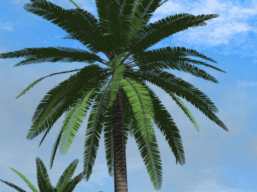 Natural Graphics - Palm Tree Example